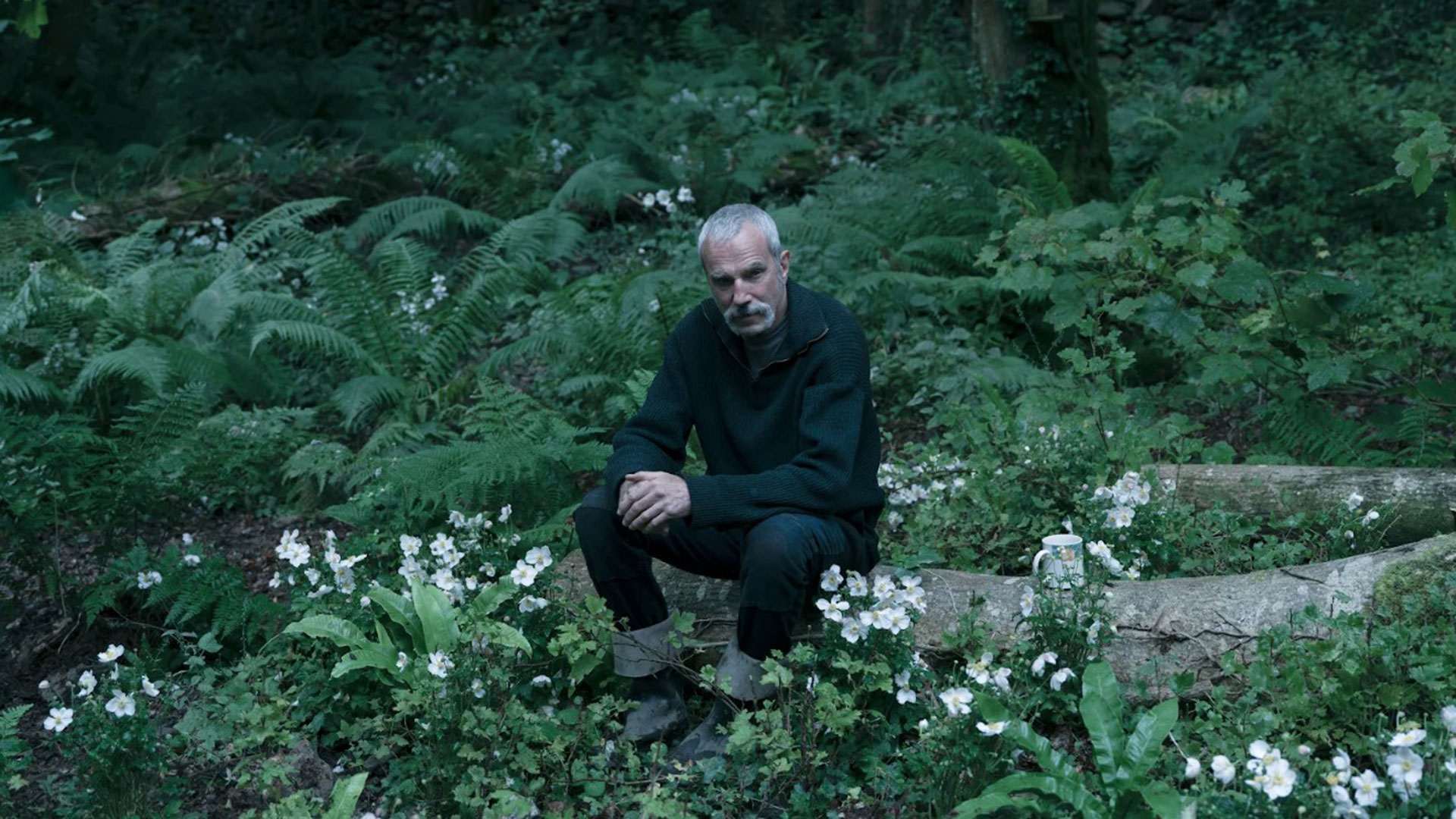 Stream & Cinema: Φοβού τον άνεργο Κορεάτη