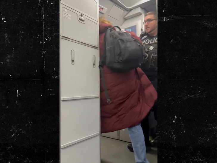 American Airlines Flight Carrying 4 Congressmen Diverted Due to Unruly ...