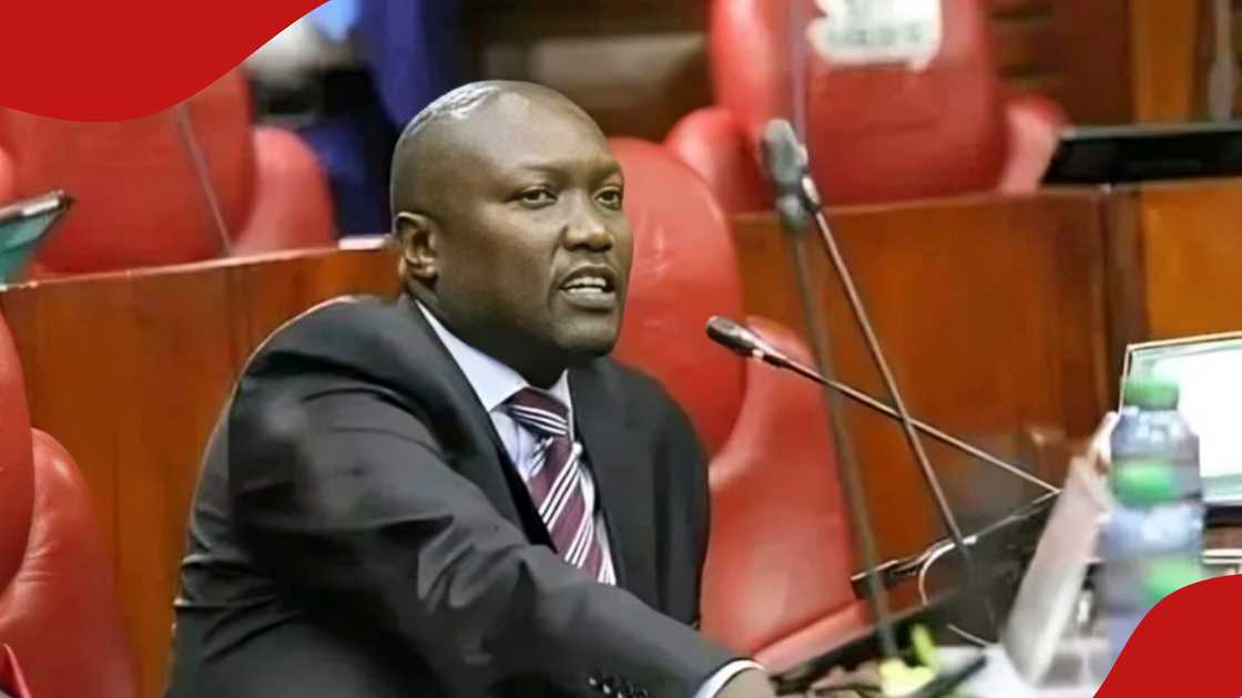 Drama in Parliament after MP Robert Mbui gets suspended for attempting ...