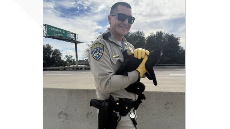 CHP officer Frisby rescues injured cat from traffic on I-80