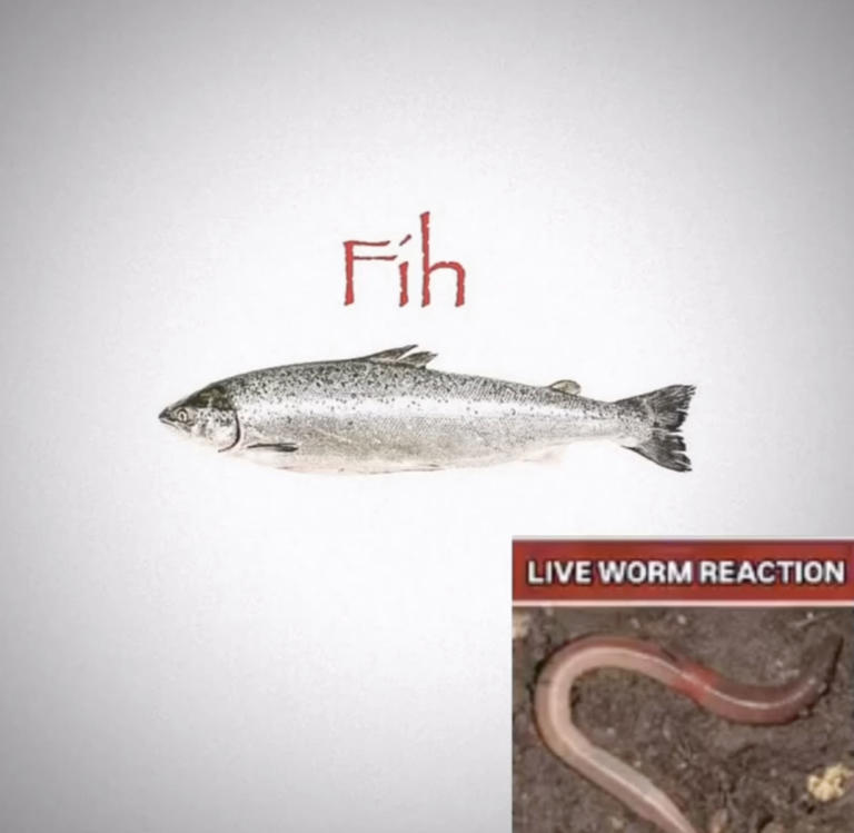 What Is The 'Fih' Meme? The Viral Slang Term's Meaning And What This ...