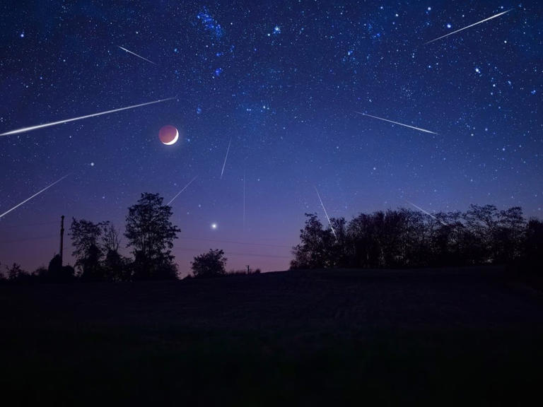 Leonid Meteor Shower Peaks: When To See Fireballs Over GA Skies