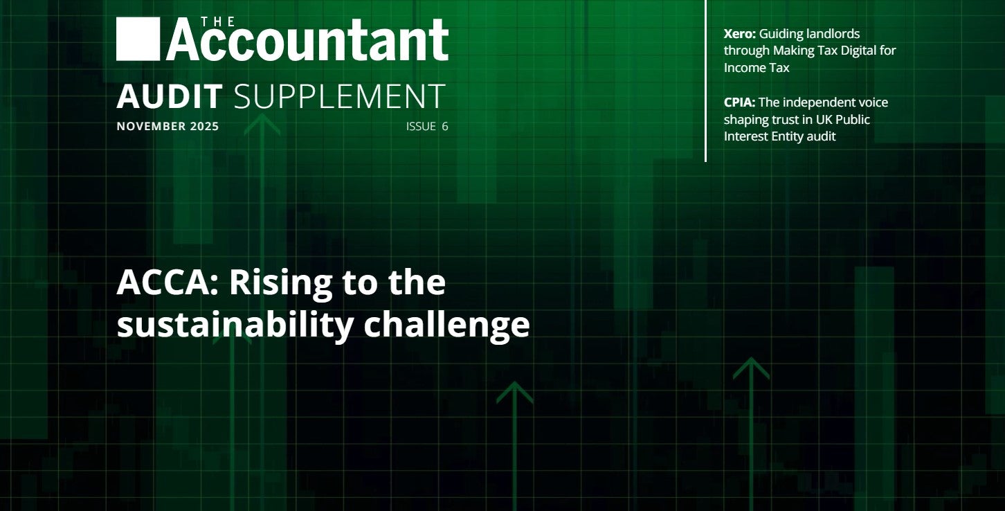 2025 Audit Supplement