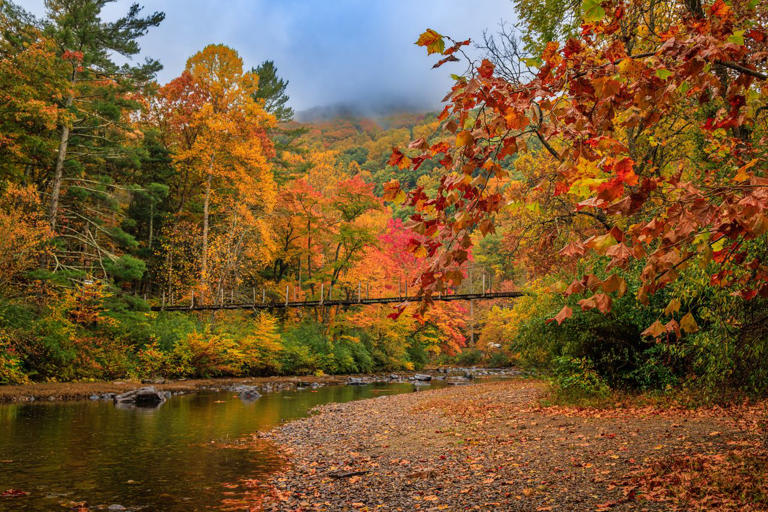 This Virginia Mountain Town Has a Drive-in Movie Theater, Quaint Inns ...