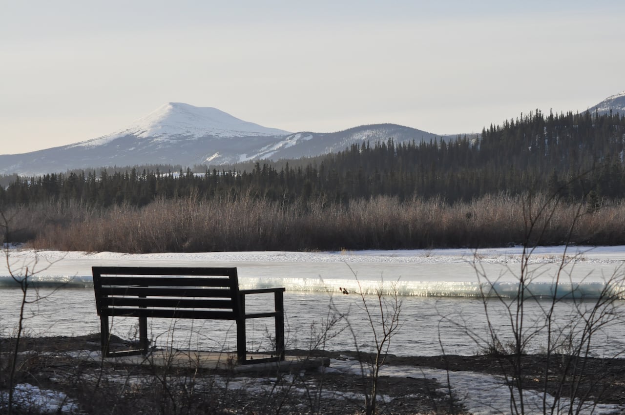‘It is my trail’: Yukoners react to weekend attack on Whitehorse's ...
