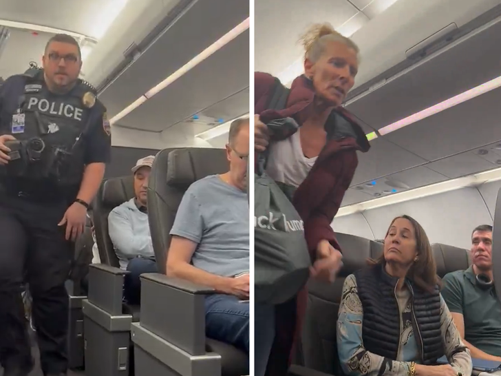 American Airlines Flight Carrying 4 Congressmen Diverted Due to Unruly ...