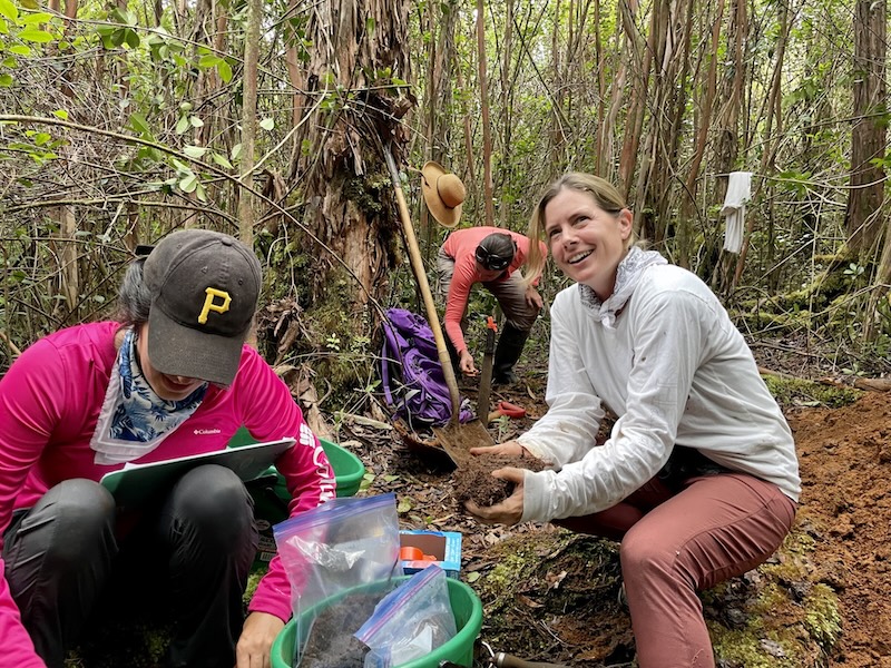 New chair chosen for Soil, Water and Ecosystem Sciences — from tropical ...