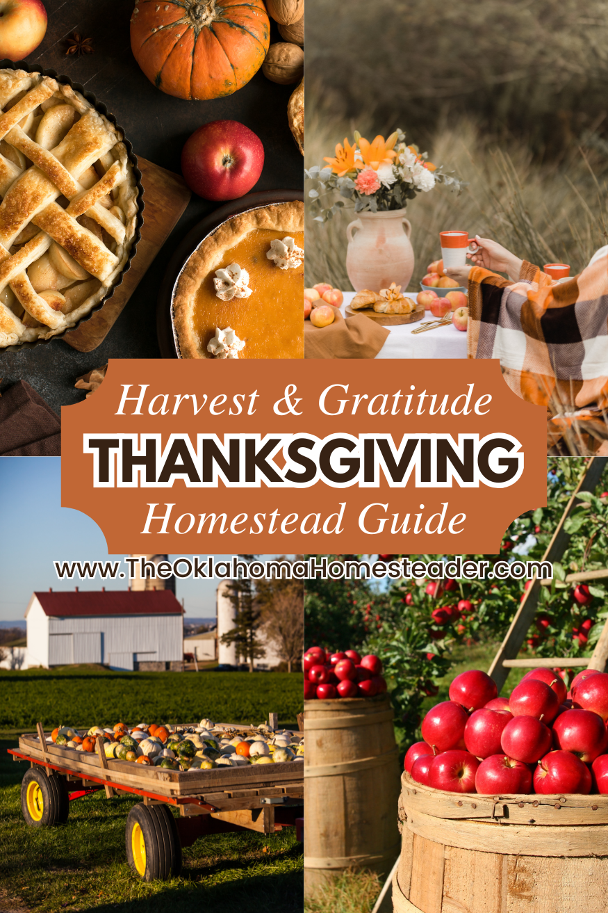 Harvest & Gratitude: Your Cozy Thanksgiving Homestead Guide