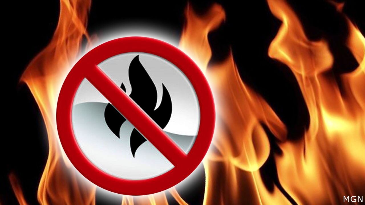 Month-long burn ban issued for Newton County