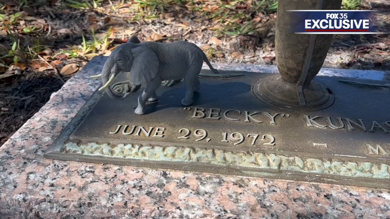 Florida ex-Marine executed nearly 50 years after kidnapping, rape ...