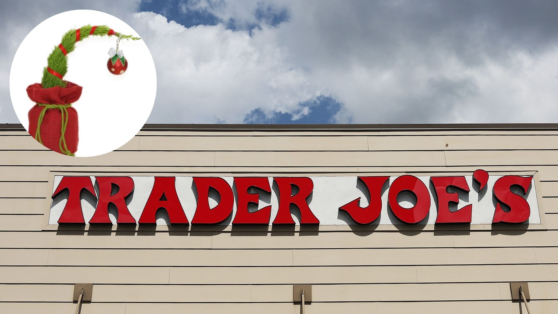 The Grinch's Grump Tree Is Selling Fast At Trader Joe's