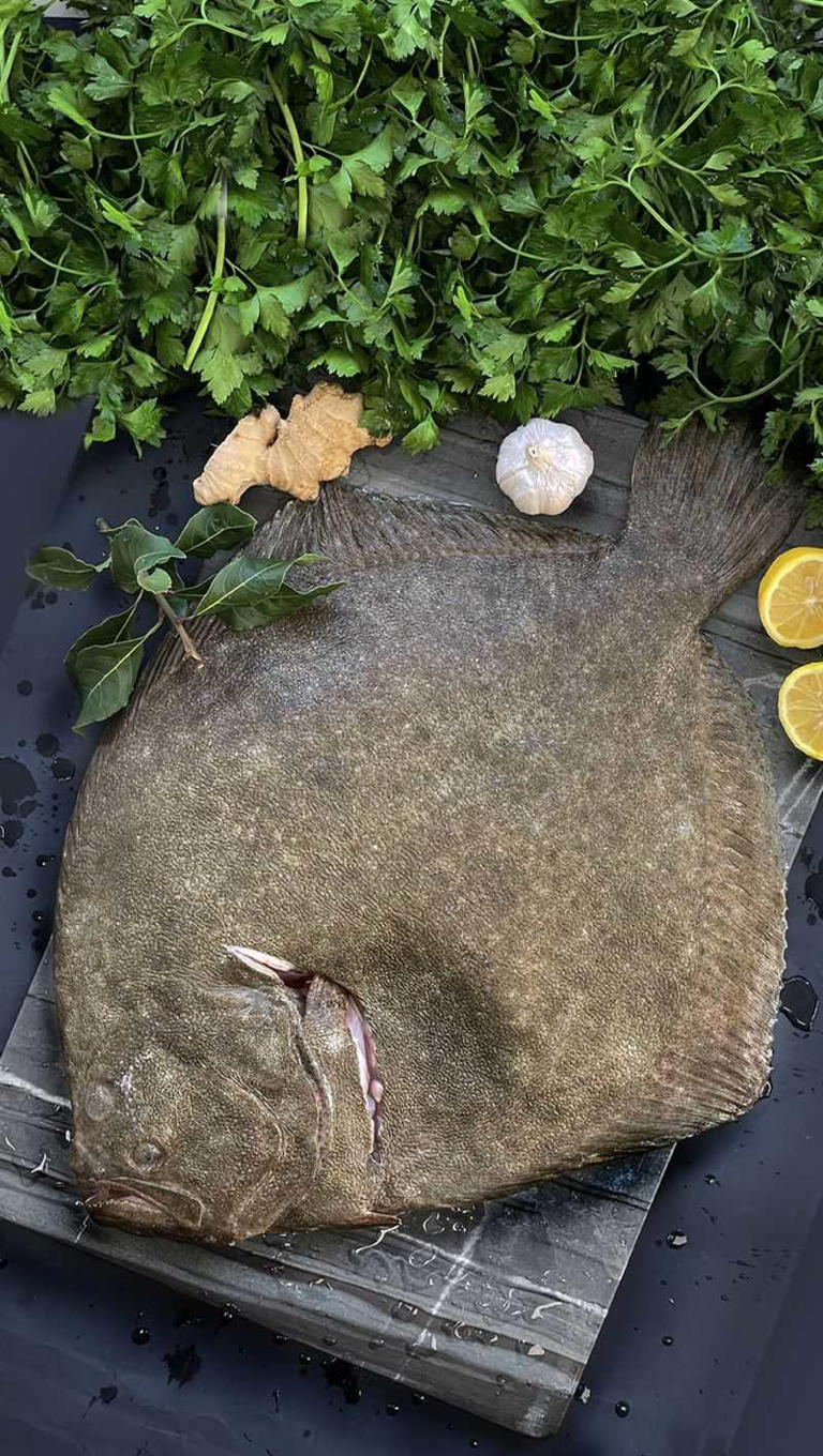 17 Premium Fish Varieties Justifying Their Price Tag