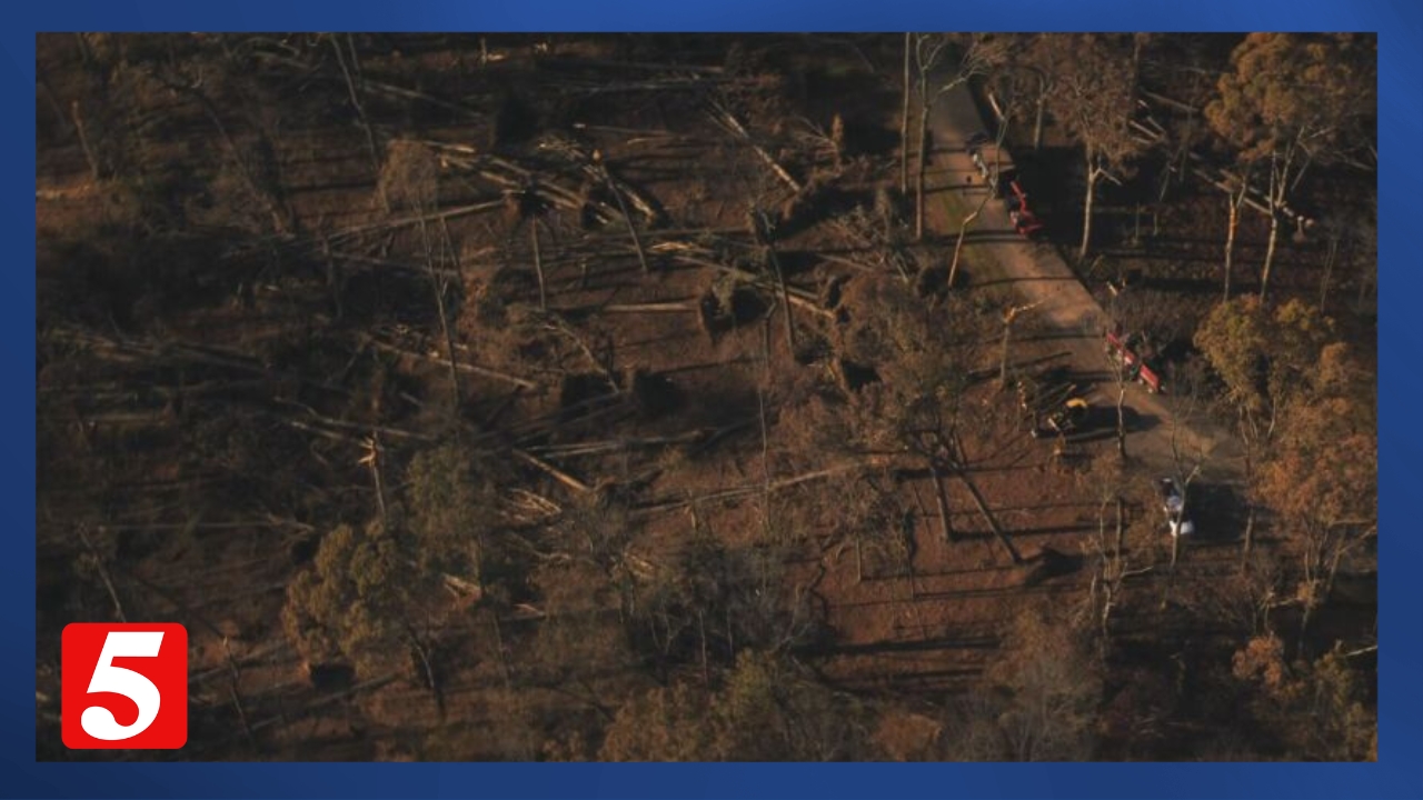 More than 500 trees were blown down in a storm at Montgomery Bell State ...