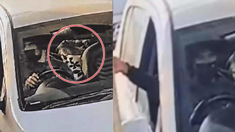 Delhi car blast: Badarpur toll booth footage shows bomber Umar staring ...