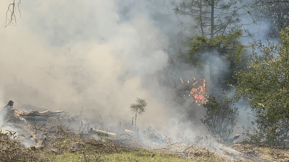 Big Chico Creek Ecological Reserve receives $1.3M for wildfire ...