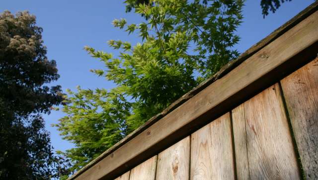 Homeowner stunned after discovering neighbor's destructive act: 'I'm ...