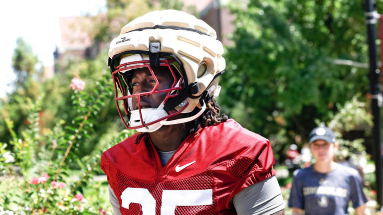 Florida State's Ethan Pritchard released from rehab facility, seeks ...