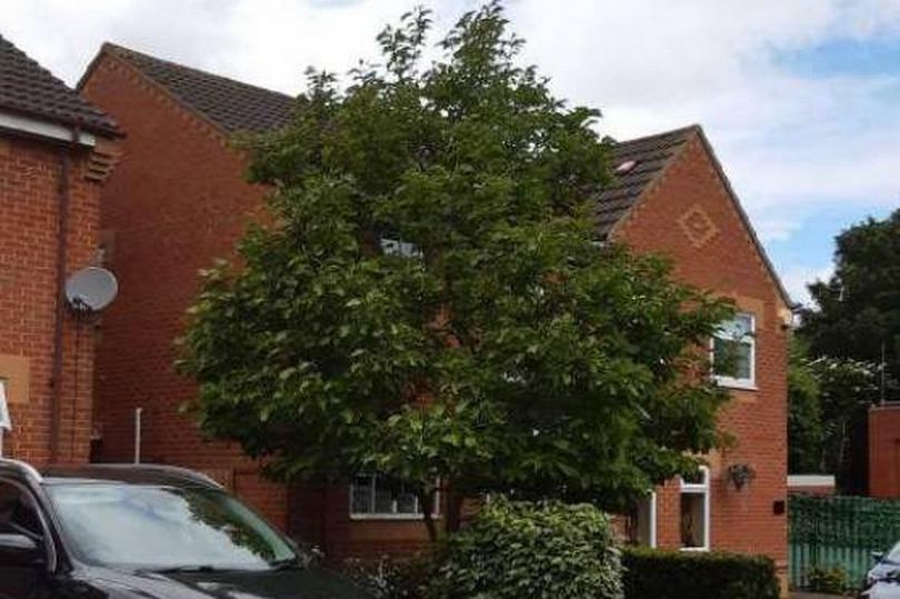 Resident claims neighbour’s tree having ‘major impact’ on mental health