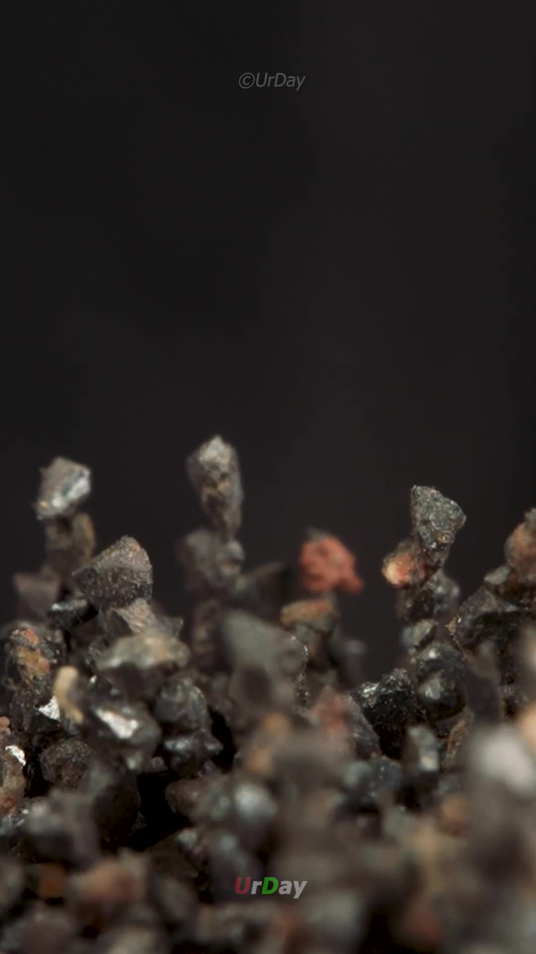 Magnet vs iron powder up close #urday #macro #closeup