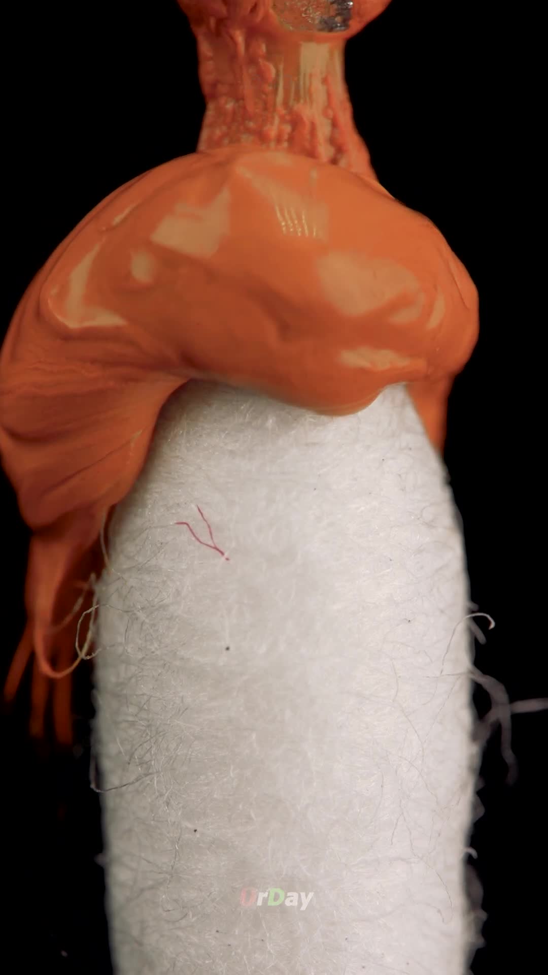 Paint brush vs cotton swab up close #urday #macro #relax #art