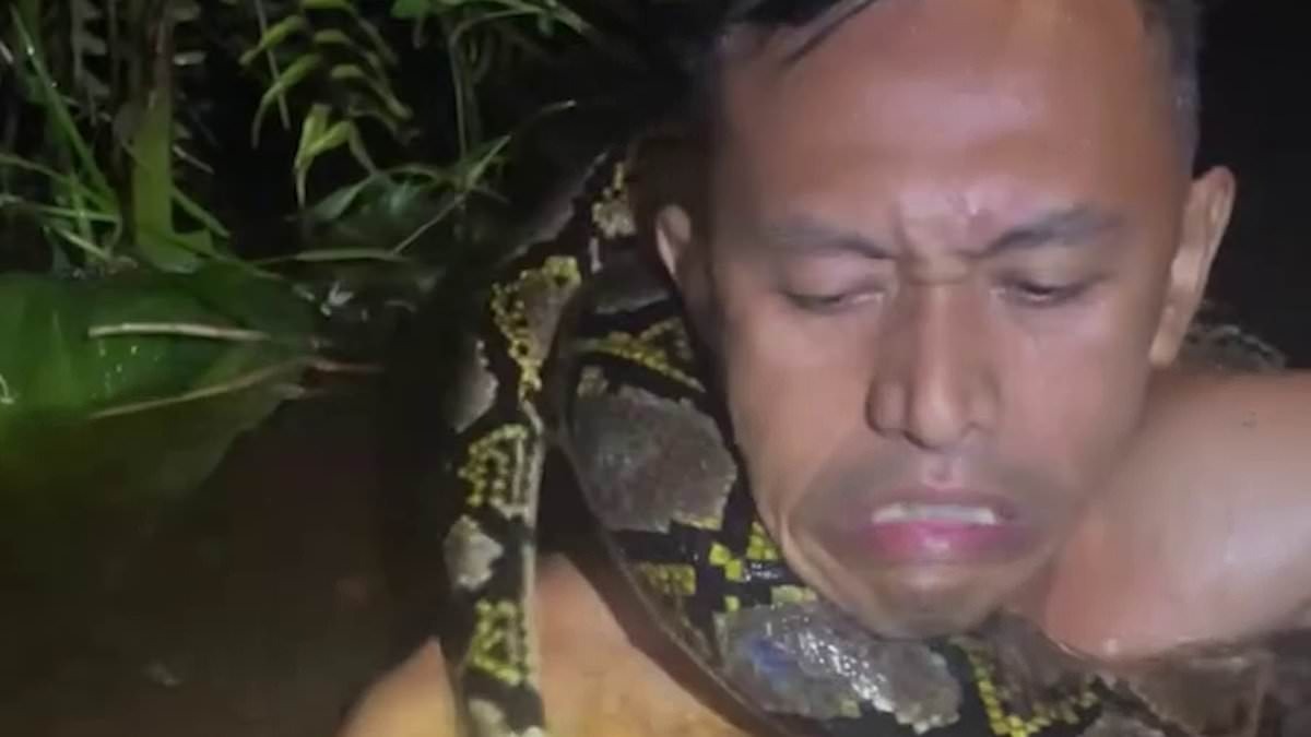 Tour guide escapes death after being strangled by 6-meter python