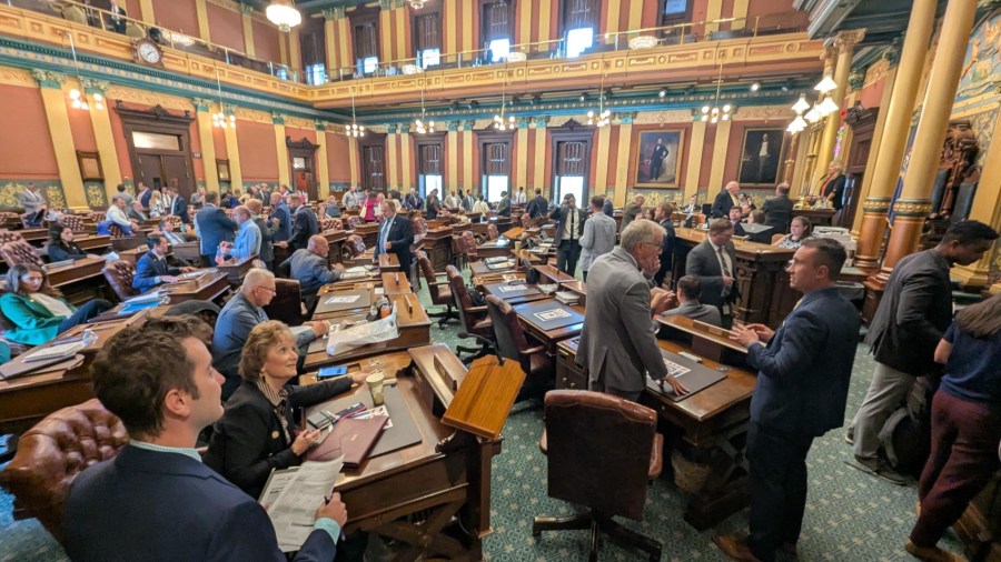 State Rep. Posthumus says he will not seek reelection