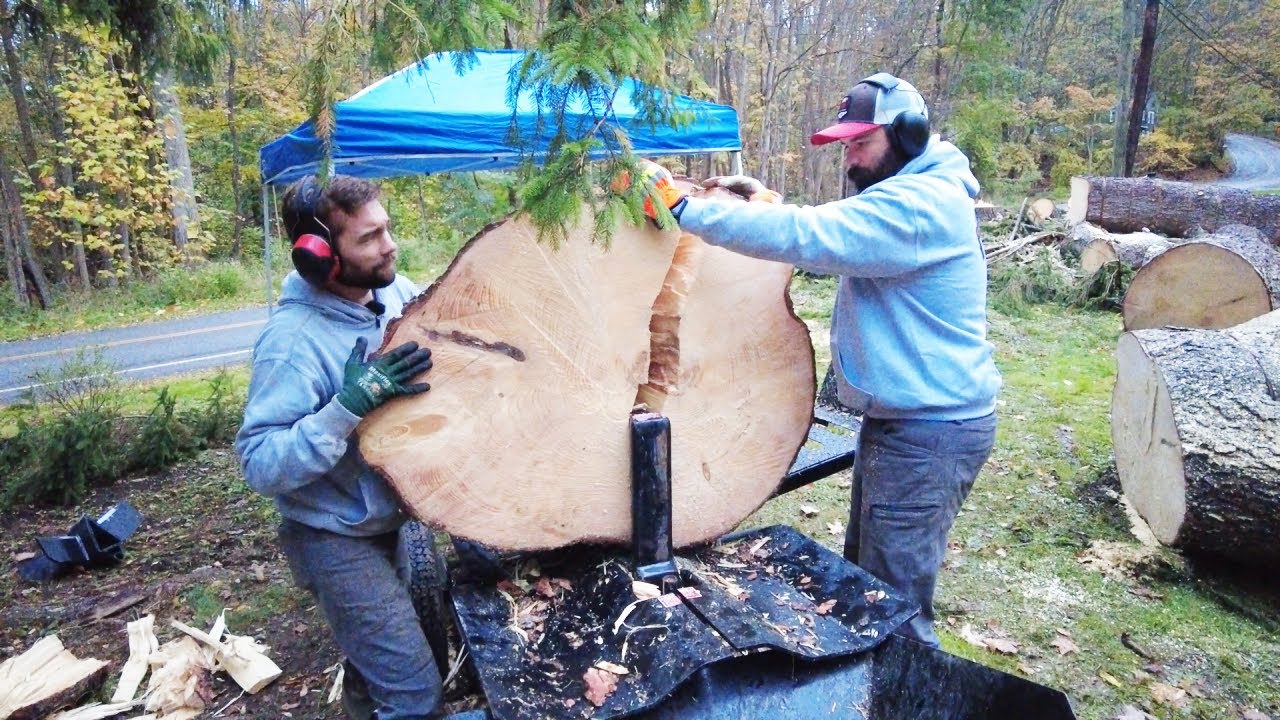 Huge Spruce Tree Logging & Splitting