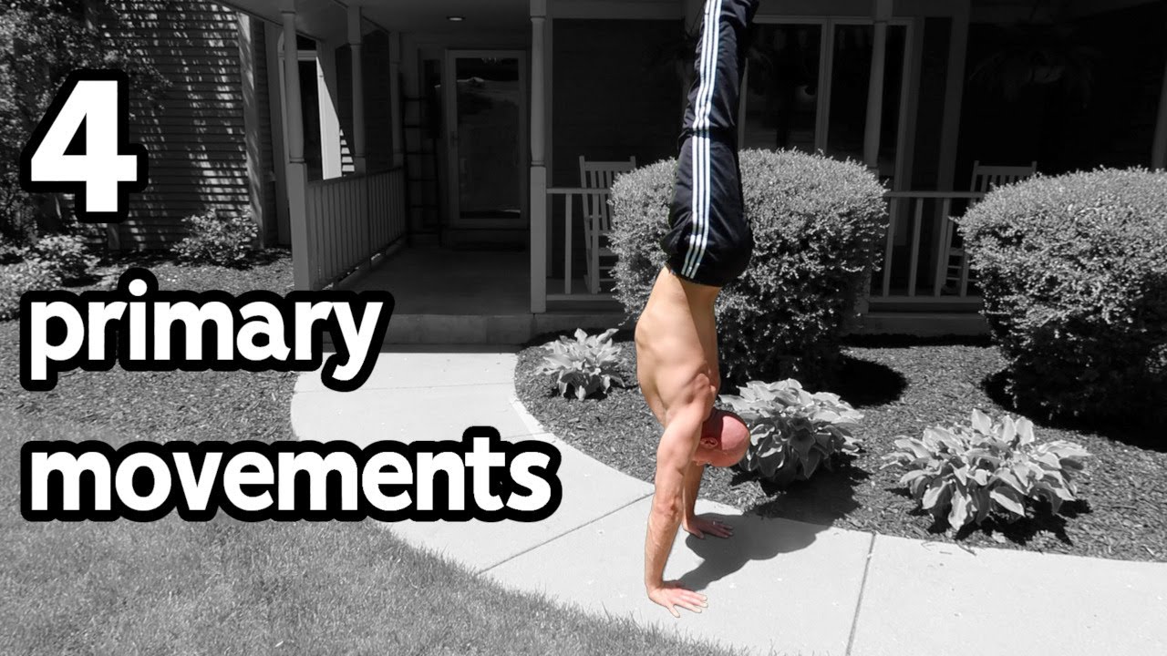 4 Primary Calisthenics Movements You Must Do