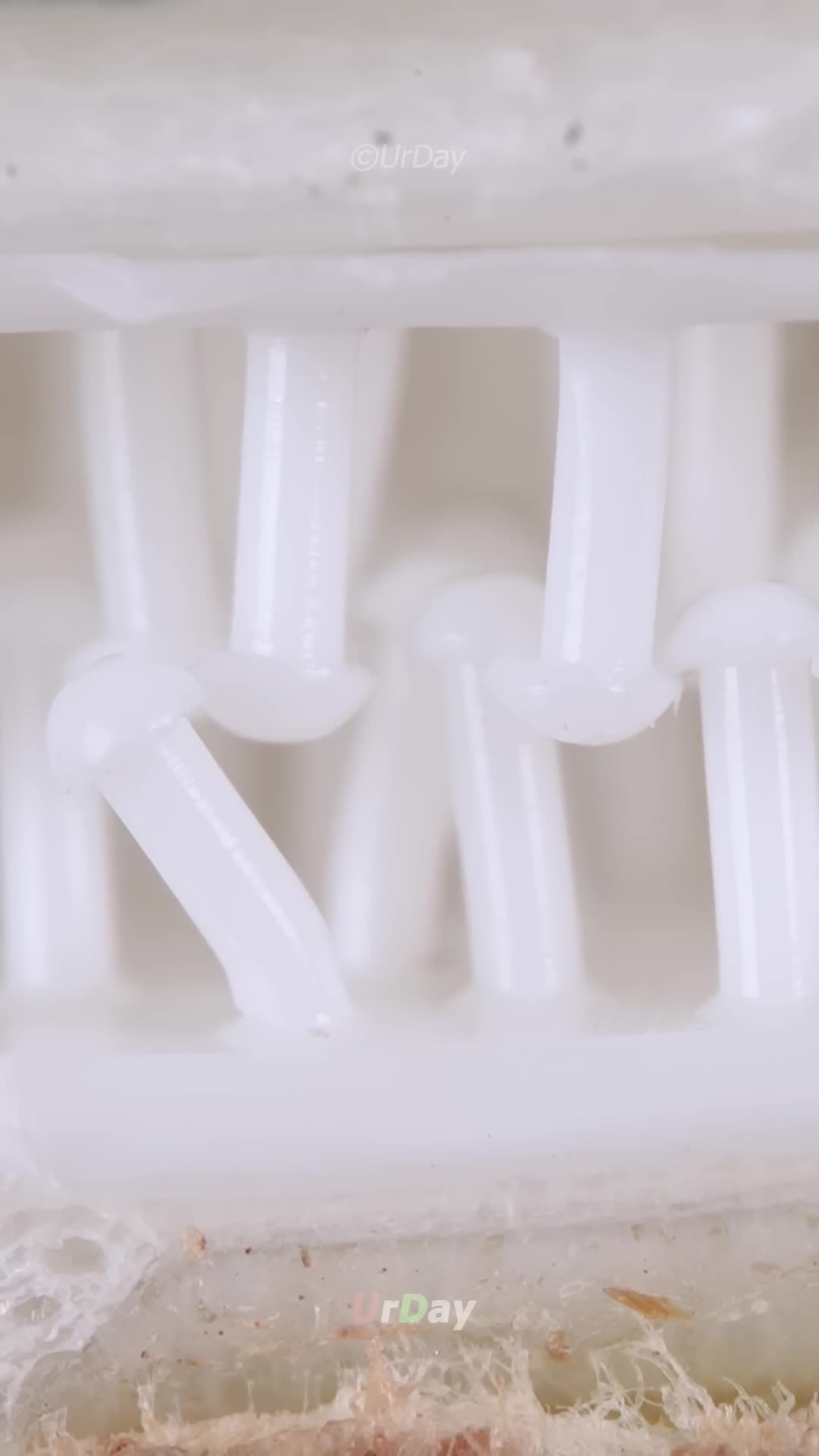 How picture hanging strips work close up #urday #macro #closeup #satisfying