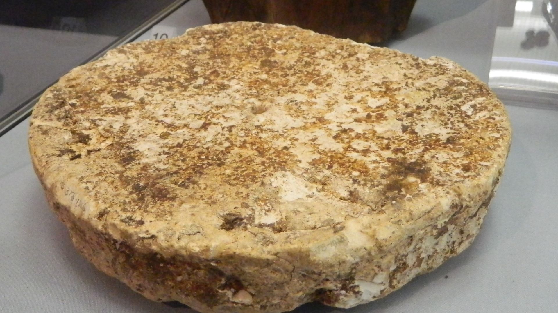 The Oldest Foods Historians Ever Discovered