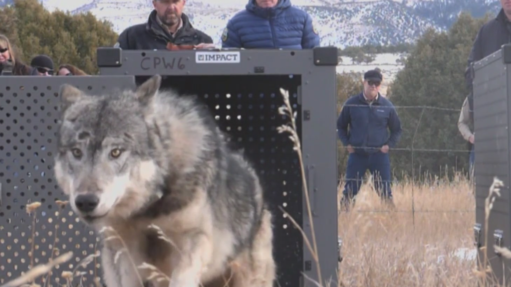 Colorado Parks and Wildlife director responds to concerns about ...