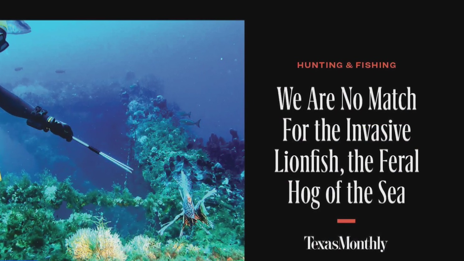 Lionfish dubbed "feral hogs of the sea" threaten Gulf ecosystems, Texas ...