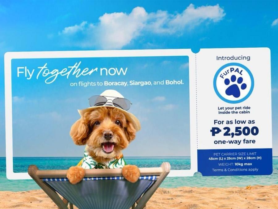 PH flag carrier now allows small dogs to fly in select domestic ...