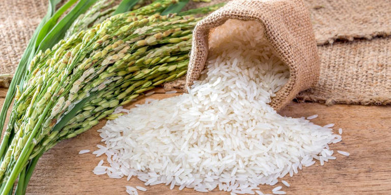 Dinorado named 2nd best rice in the world