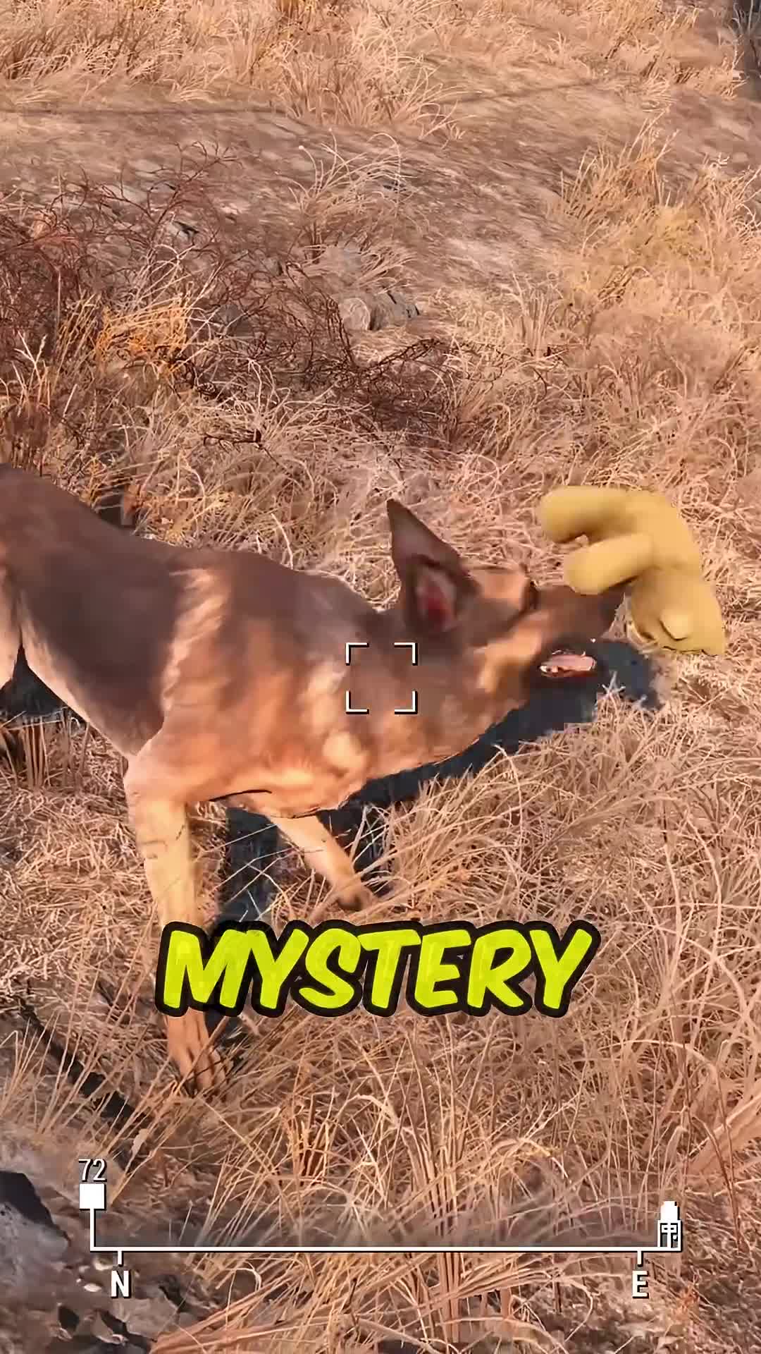 What's your theory about the dog in Fallout 4? #videogames #fallout4 # ...