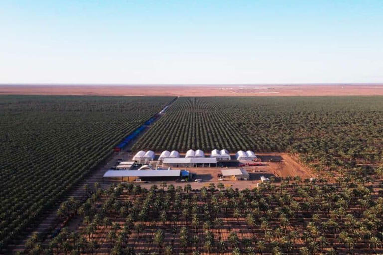 Une entreprise utilise de l’argile pour transformer les terres ...