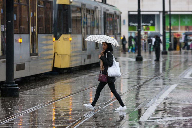 Metrolink chaos as trams stopped by 'tree on overhead line' amid Storm ...