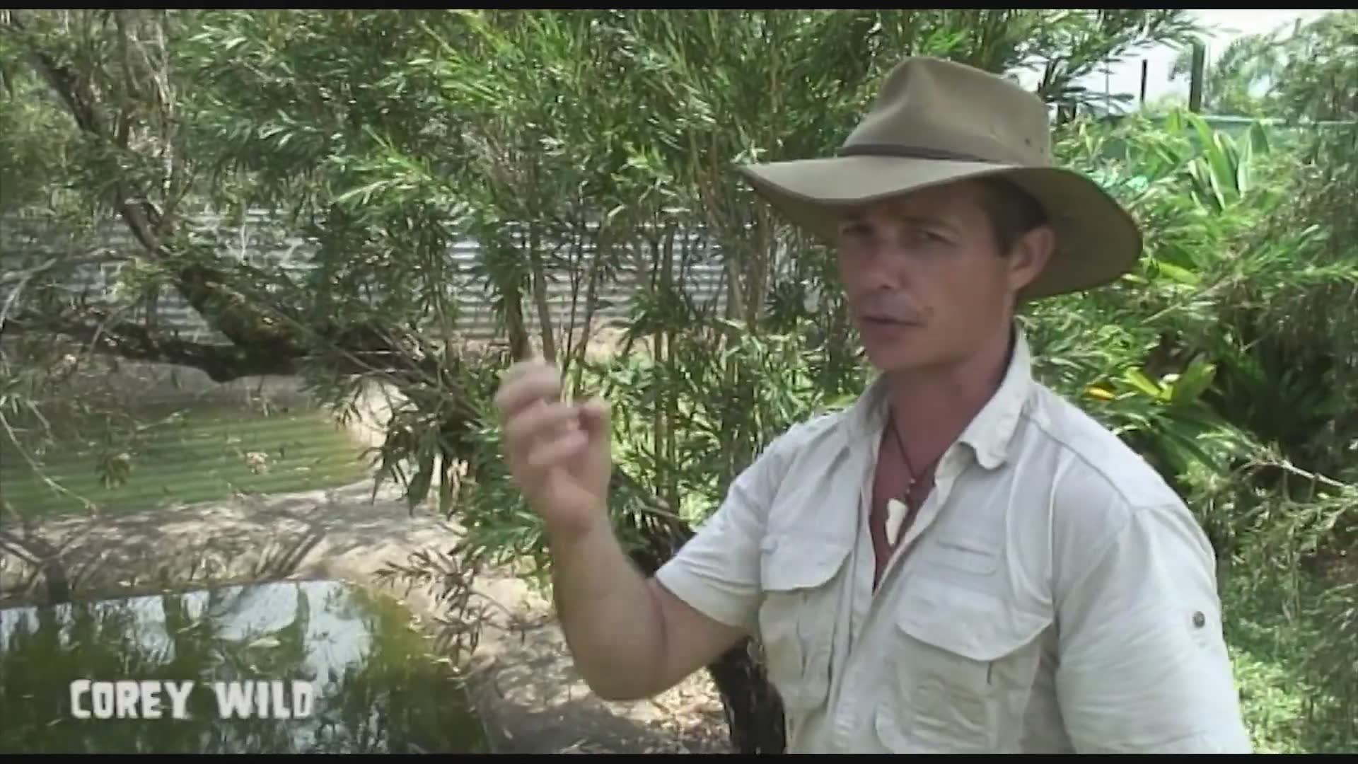 Crocodile expert survives death roll