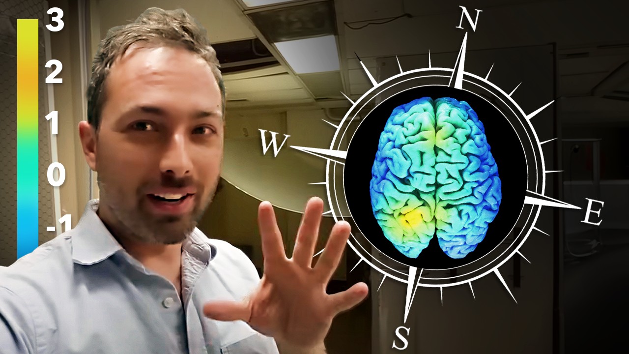 What Really Happens When Magnetic Fields Hit The Human Brain