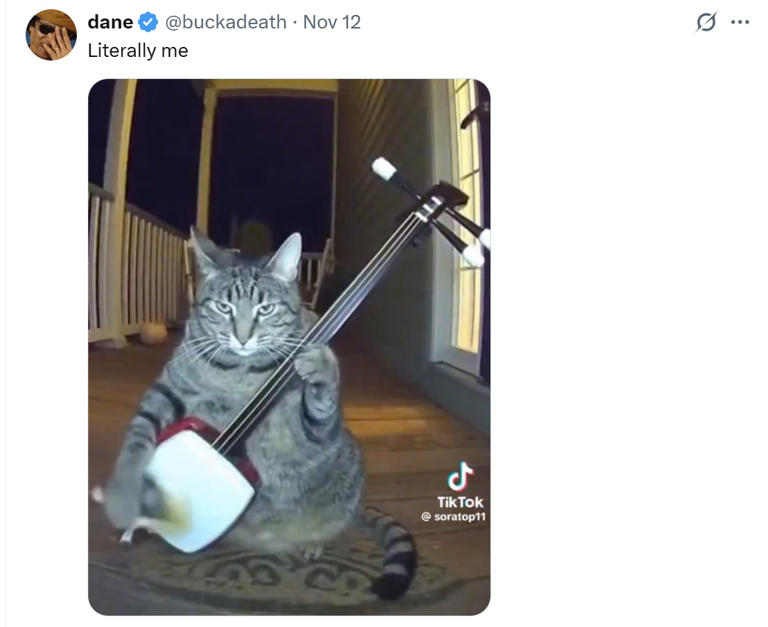 Slop or creative? This viral cat video with over 6 million views shows ...