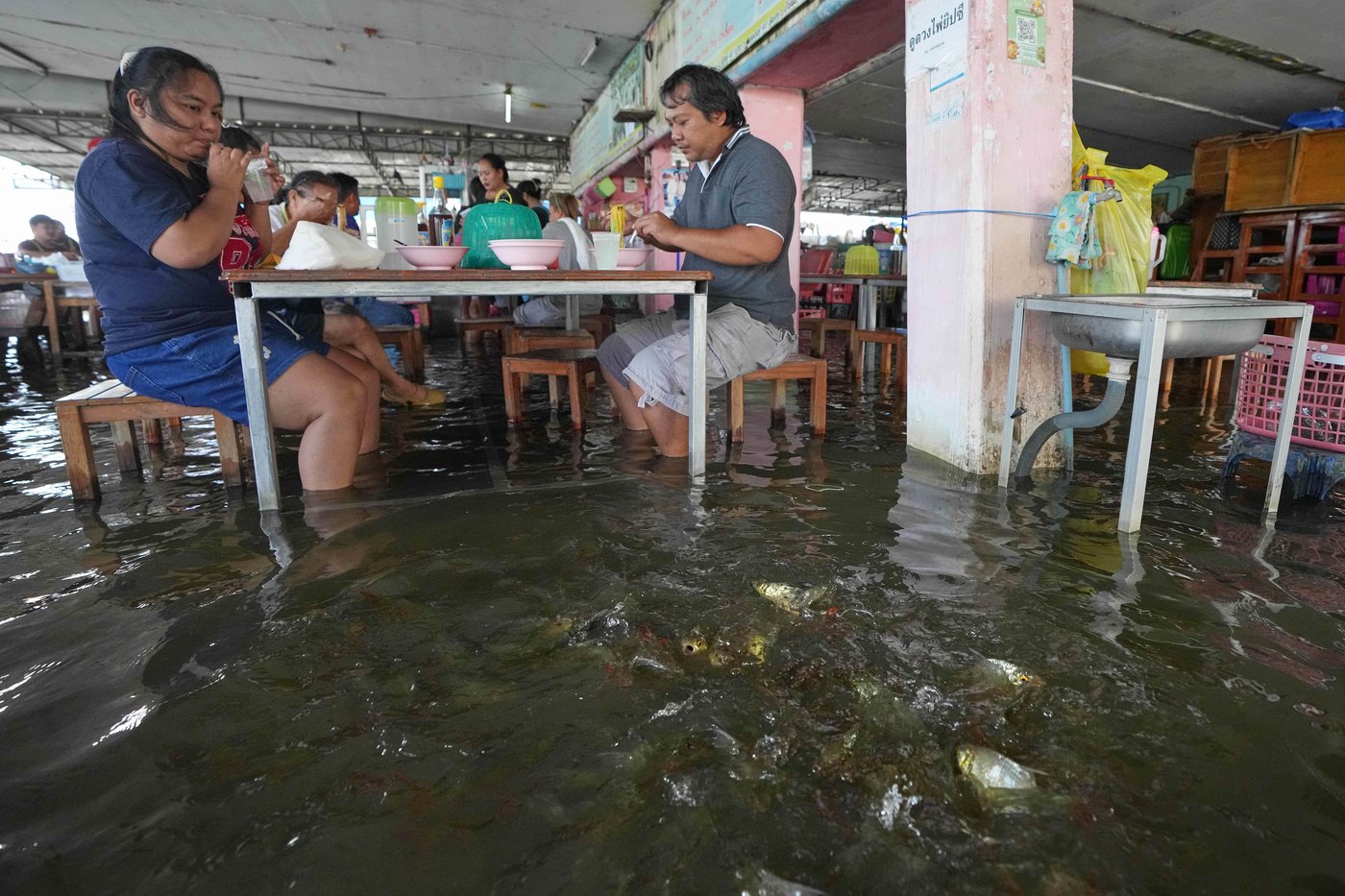 A flooded restaurant in Thailand brings delight with swimming fish ...