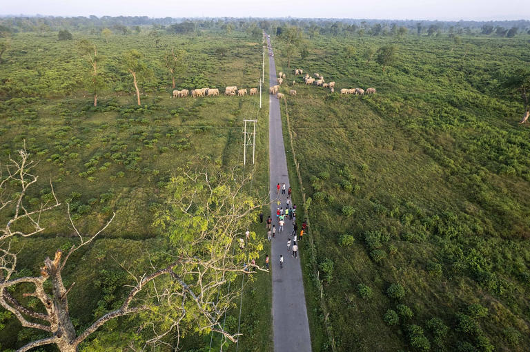 Nature inFocus returns with a bigger, more inclusive vision for 2025