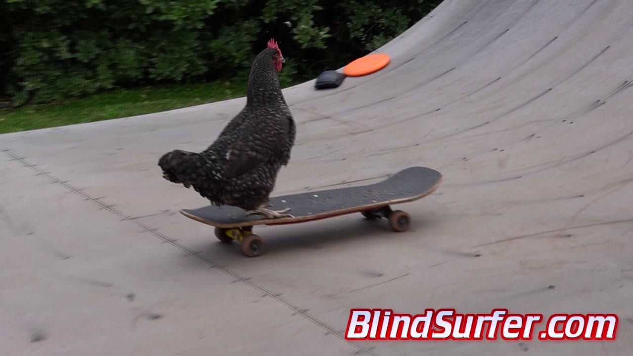 Don't be chicken about dropping in - EP 15 trailer