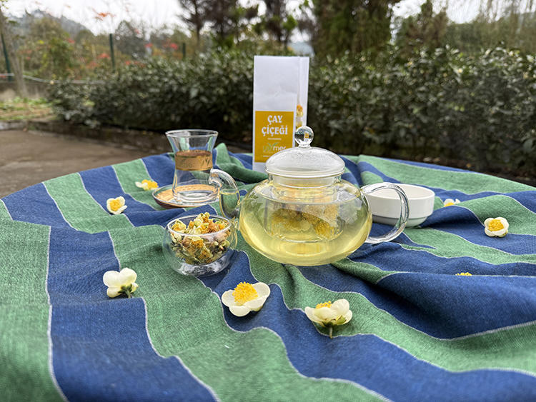 ÇAYMER, bu yıl 50 kilogram çiçek çayı üretti