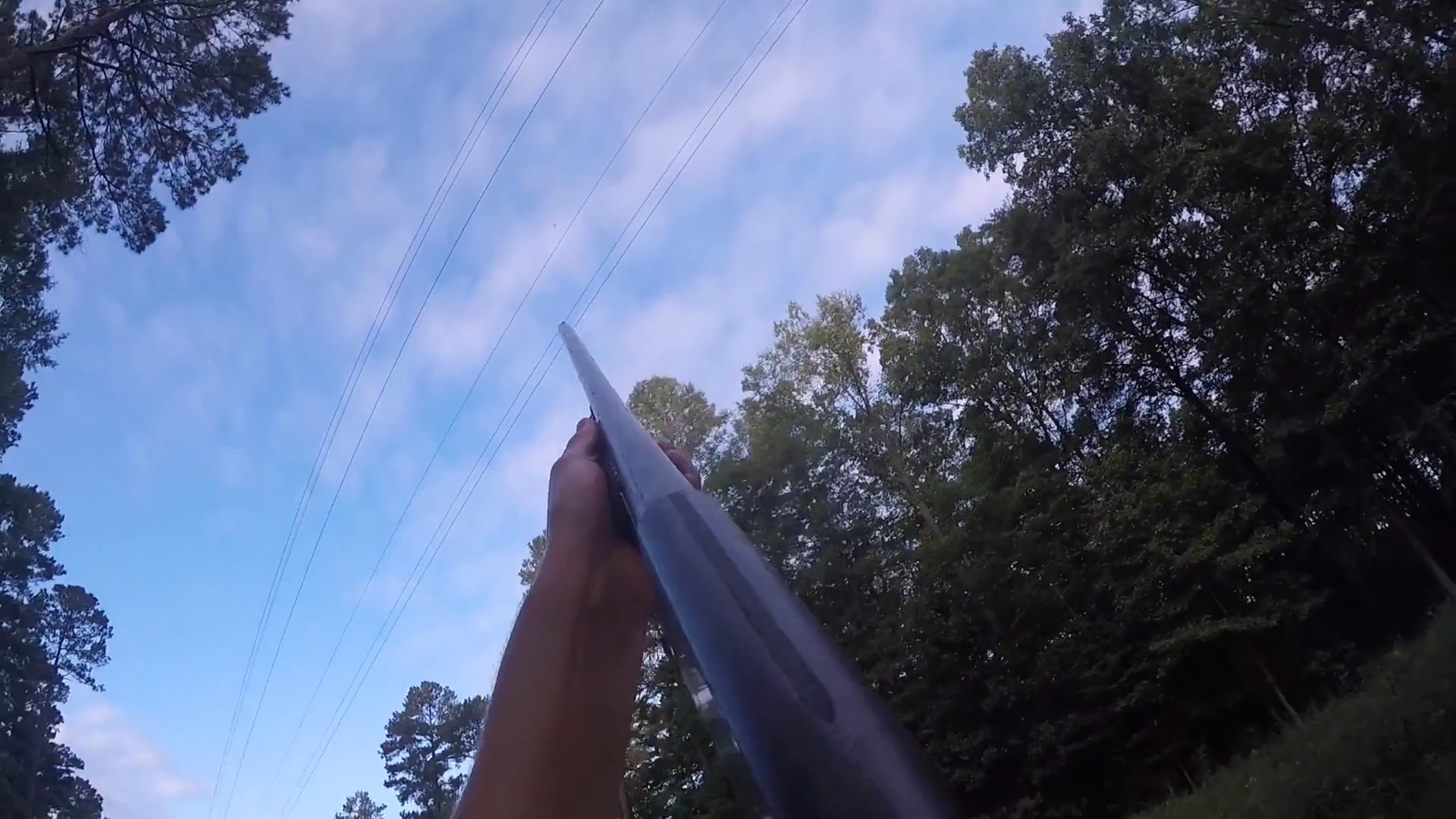 Public Land Dove Hunting Adventure (Opening Day + Cook)