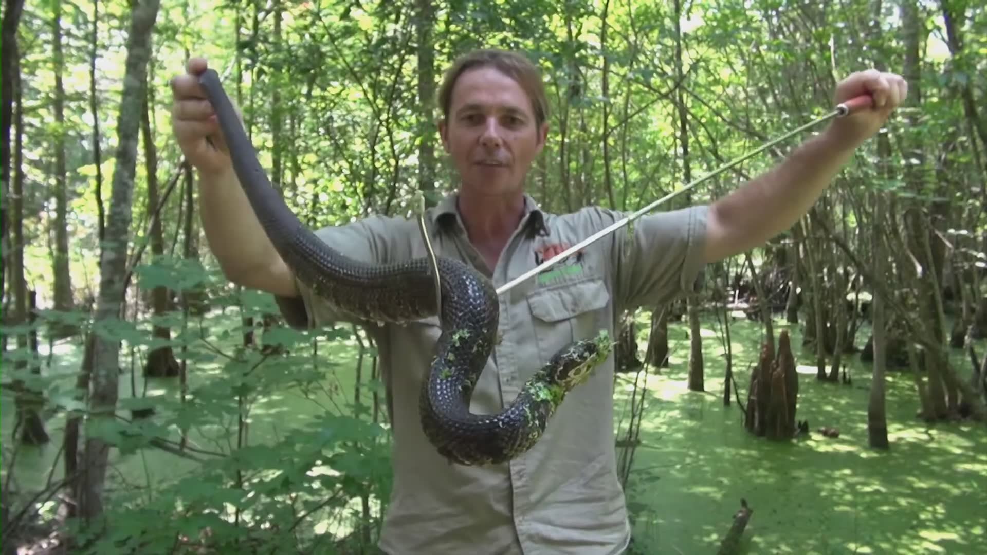 Man dangerously kisses venomous cobra