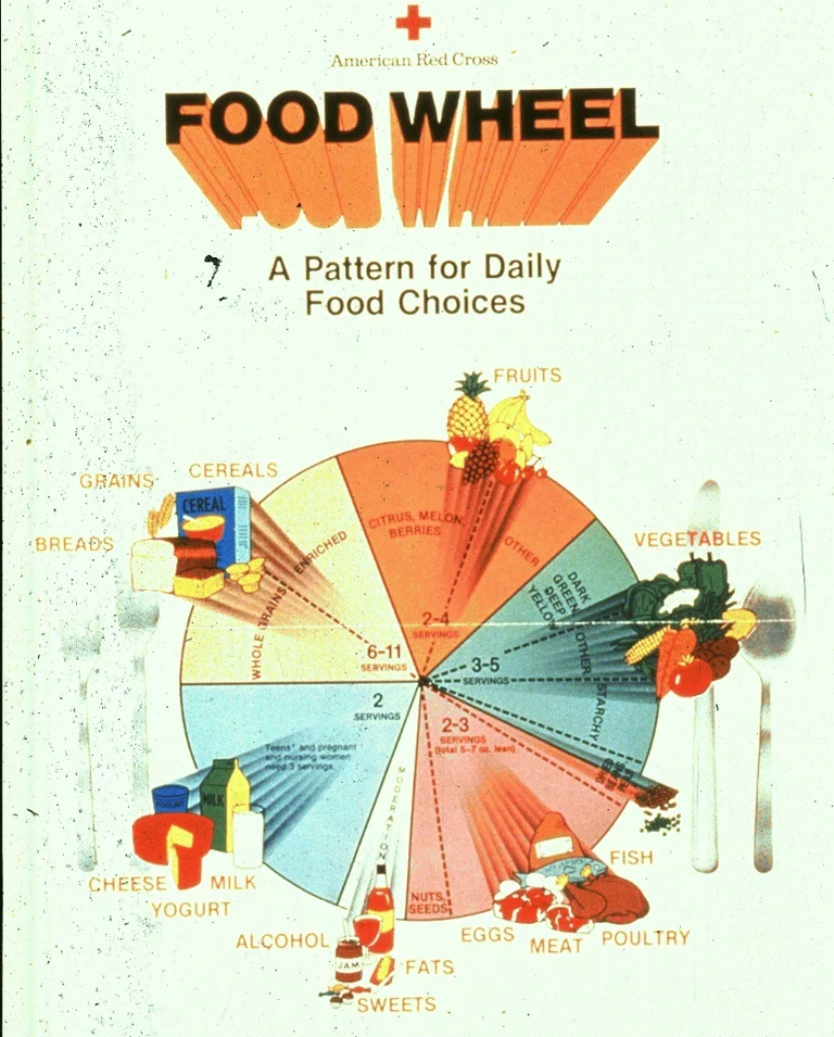 The Rise, Fall, and Potential Return of the Food Pyramid