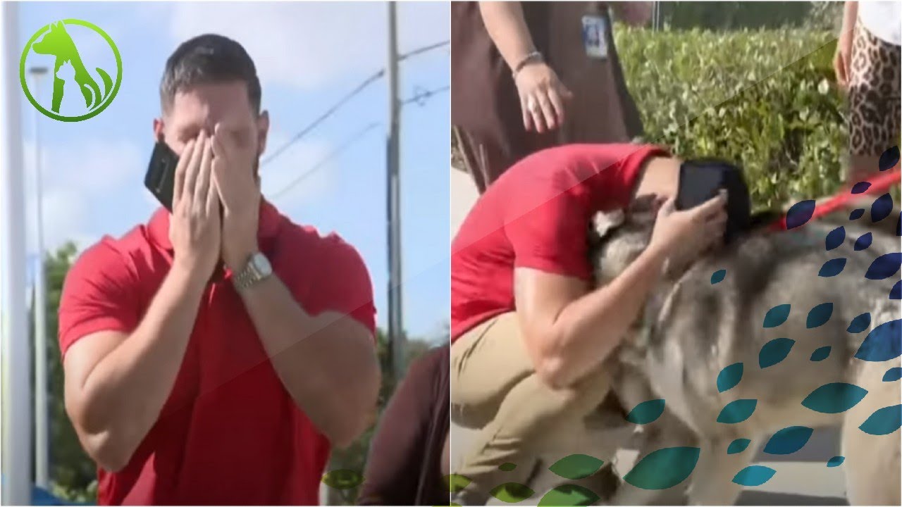 Man Shocks Everyone by Yelling “Those Are My Dogs!” During Adoption ...