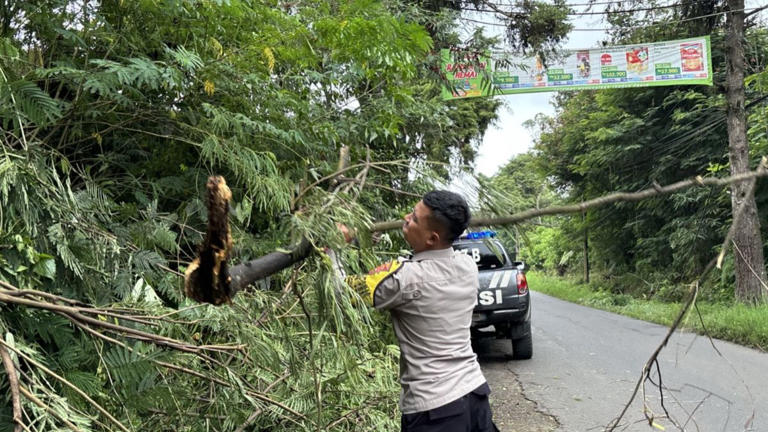 Pohon Tumbang di Jalan Raya Bukit Rejeng Garut Sempat Lumpuhkan ...