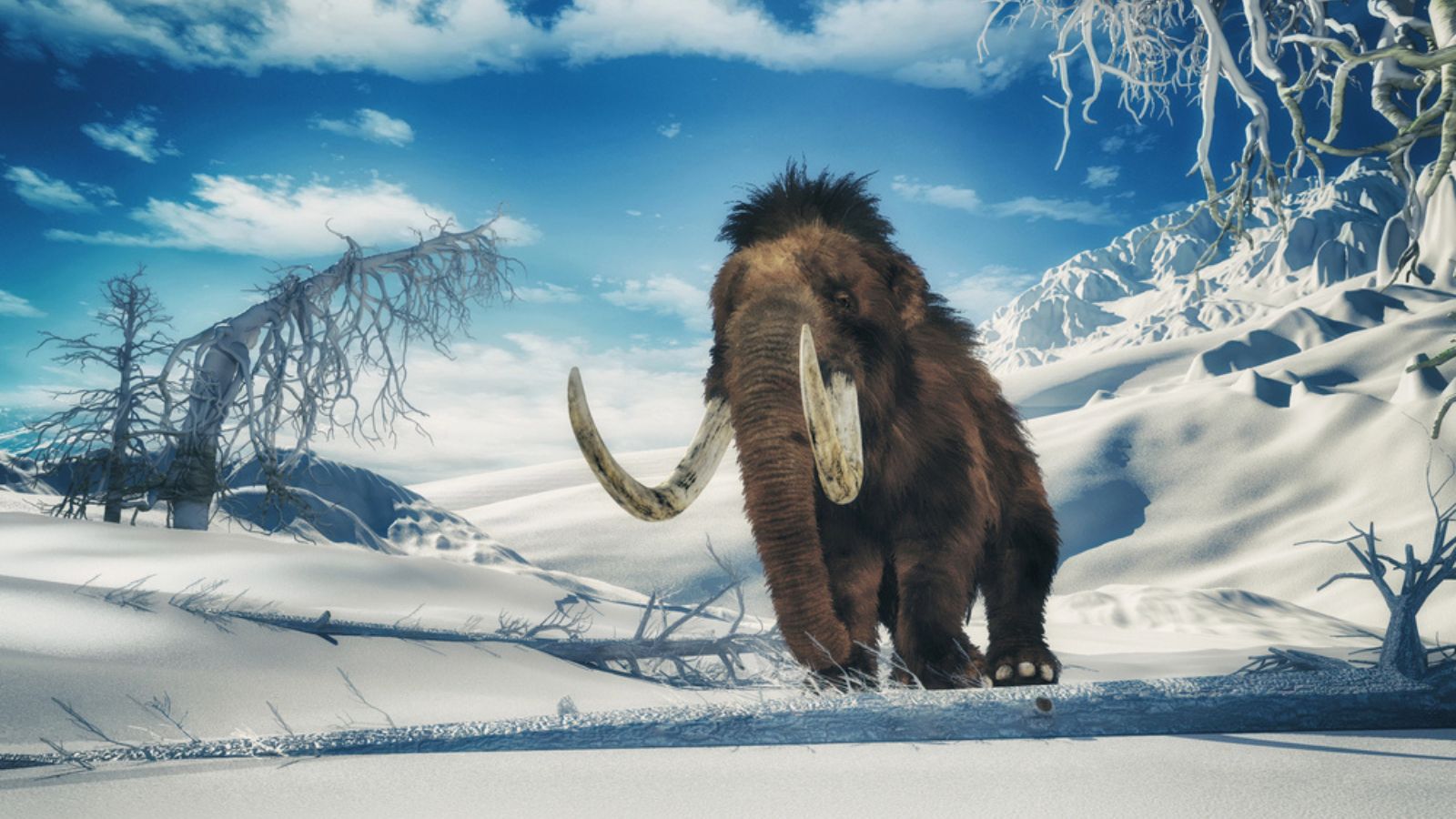 14 Cool Facts About the Ice Age